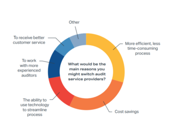 The Most Common Challenges of the Audit Process