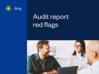 Audit Report Red Flags