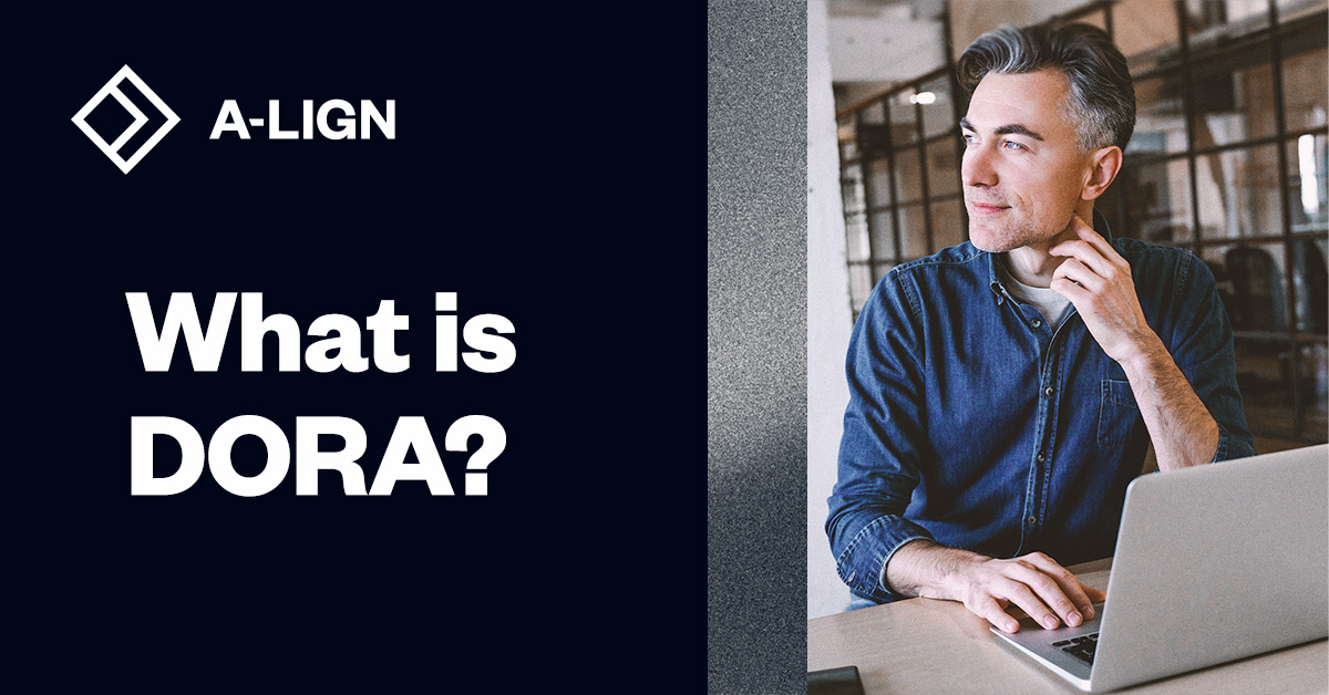 Navigating the Digital Operational Resilience Act (DORA)